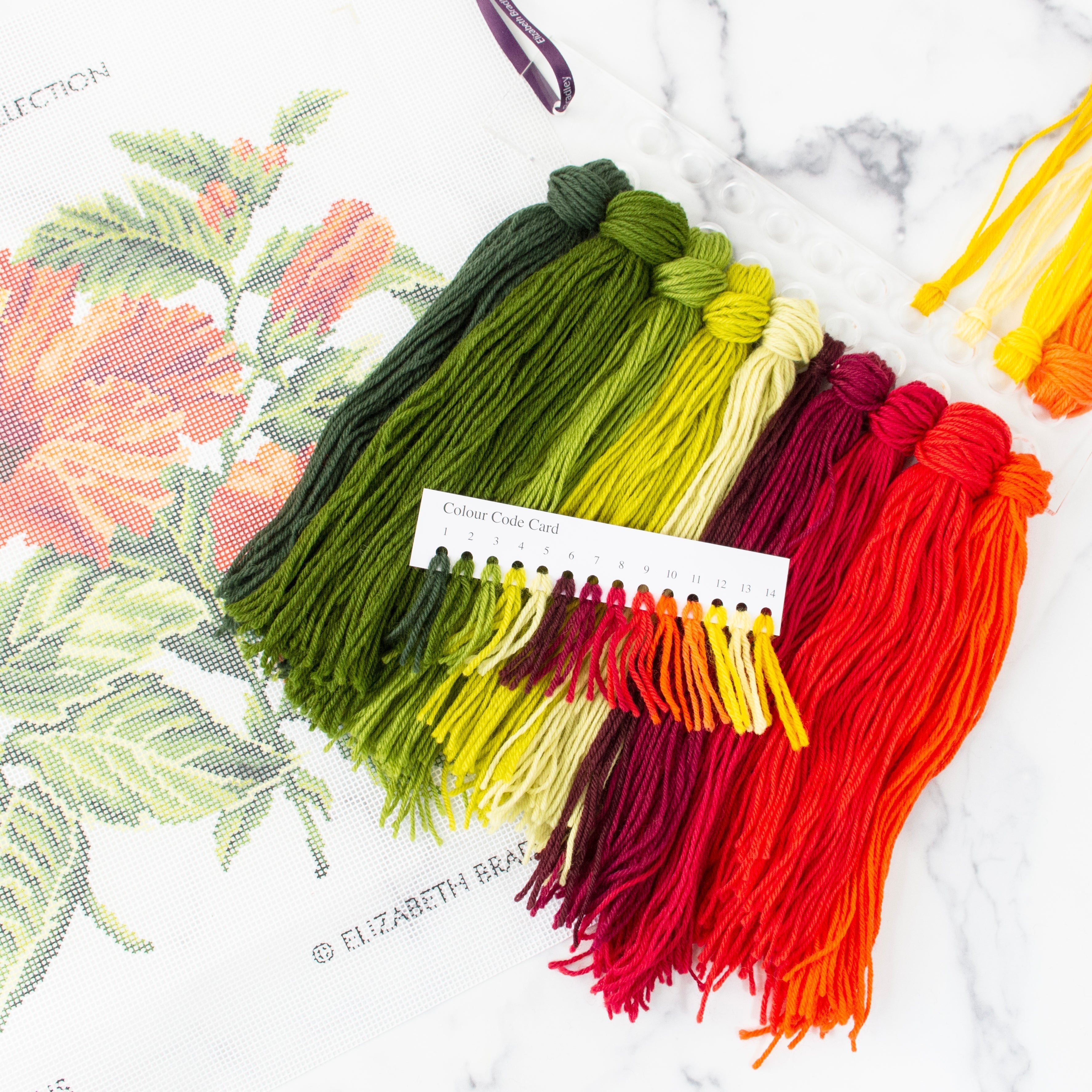 Colour Connection – Elizabeth Bradley