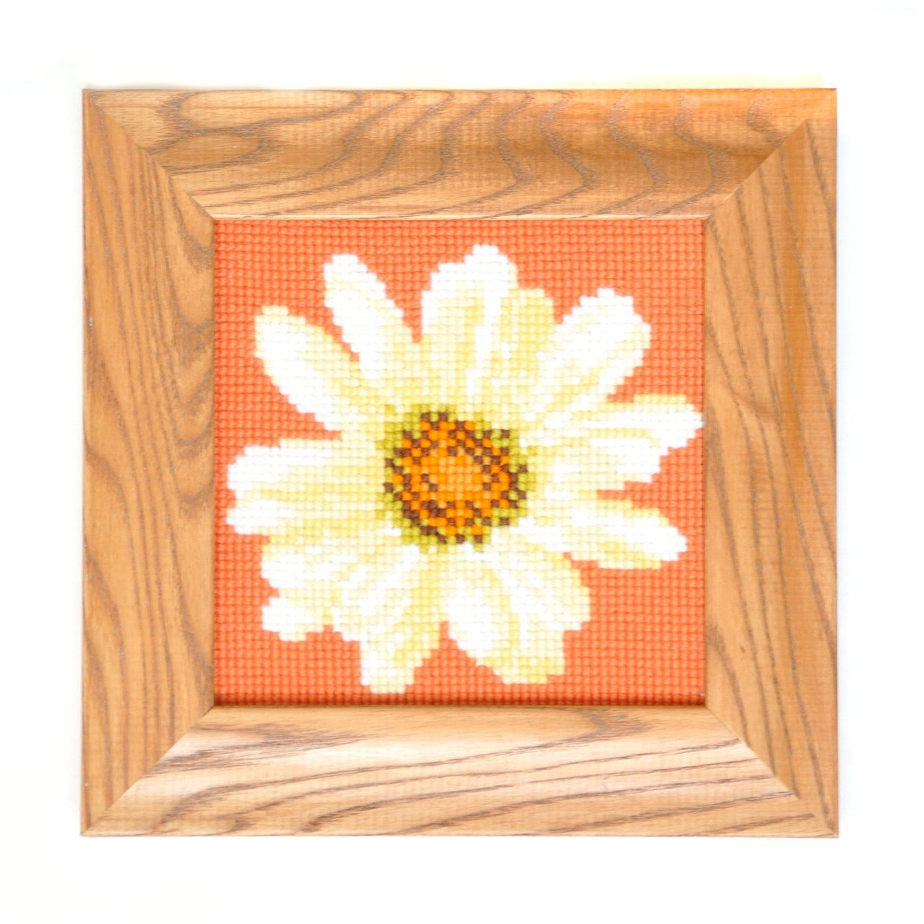 Daisy Mini Needlepoint Kit | Elizabeth Bradley Design