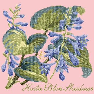 Hosta Blue Shadows Needlepoint Kit | Elizabeth Bradley Design