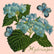 Hydrangea Needlepoint Kit | Elizabeth Bradley Design