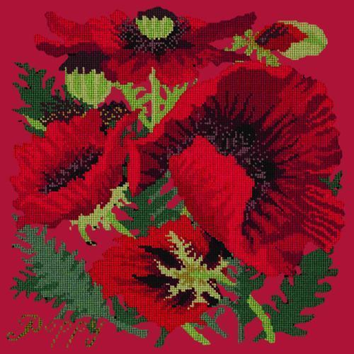 Red Poppy Needlepoint Kit | Elizabeth Bradley Design